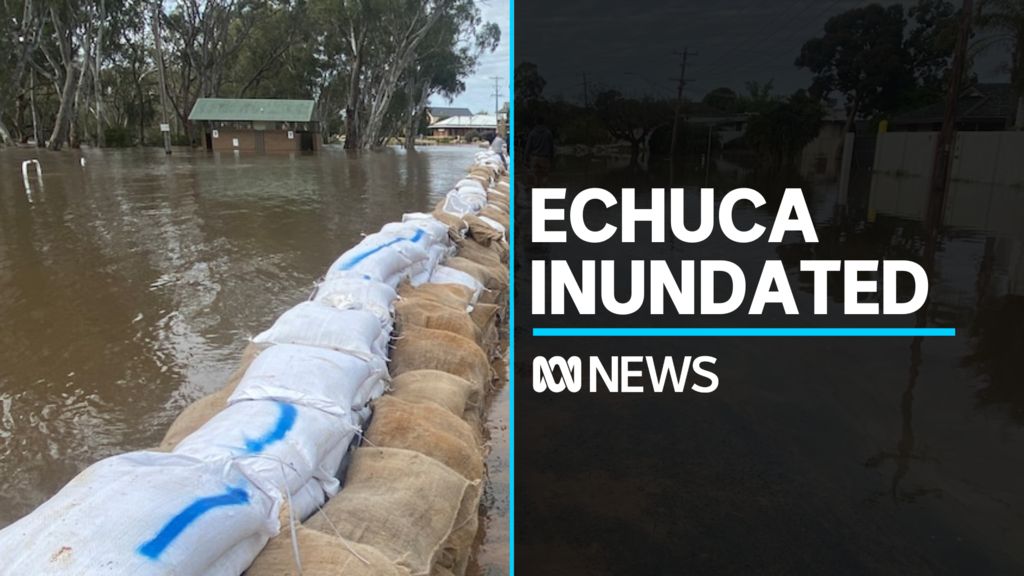 Echuca remains under threat from rising floodwaters - ABC News