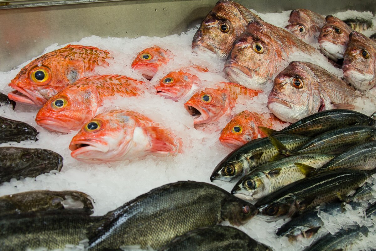 Fish market assures consumers amid concerns over seafood sustainability ...