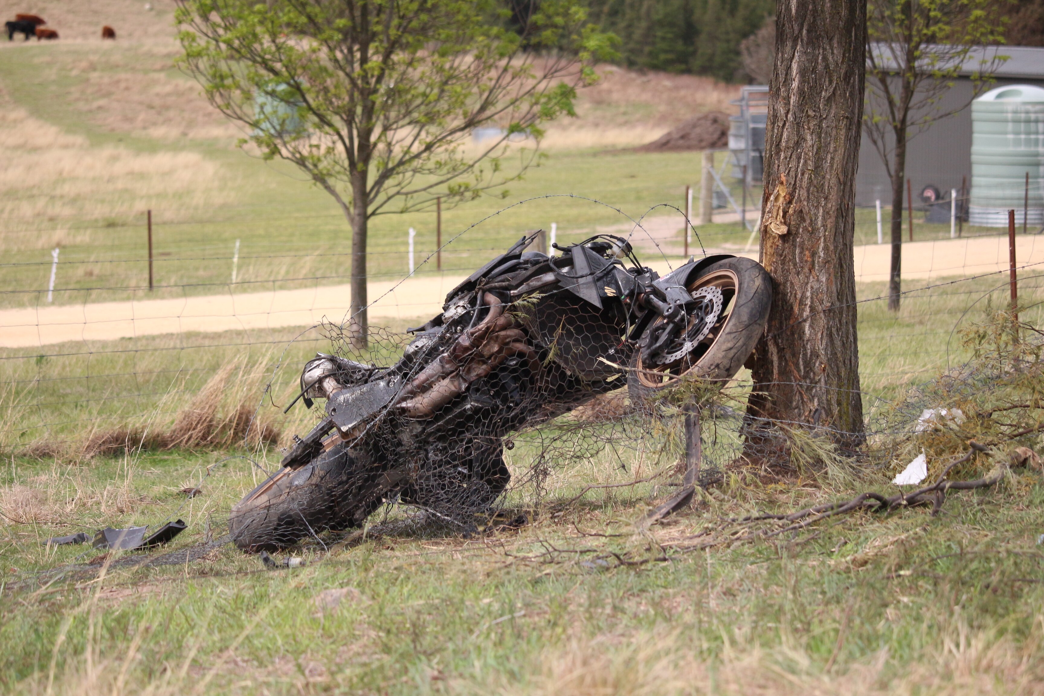 Canberra motorcyclist dies after losing control and colliding with tree ...