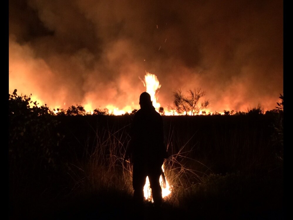 The Kimberley battling the cost of intense and frequent fires - ABC News