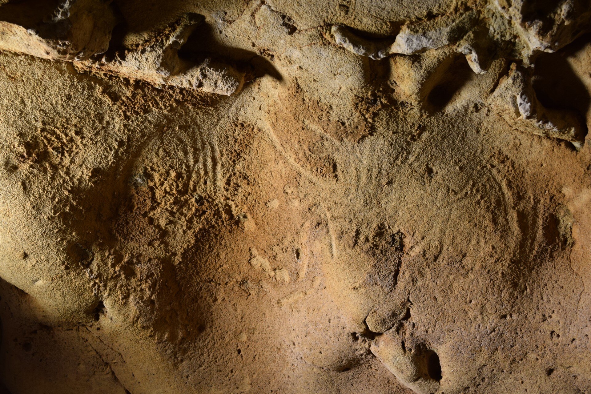 Oldest Neanderthal cave wall engravings may be 'finger flutings' more than 57,000 years old ...
