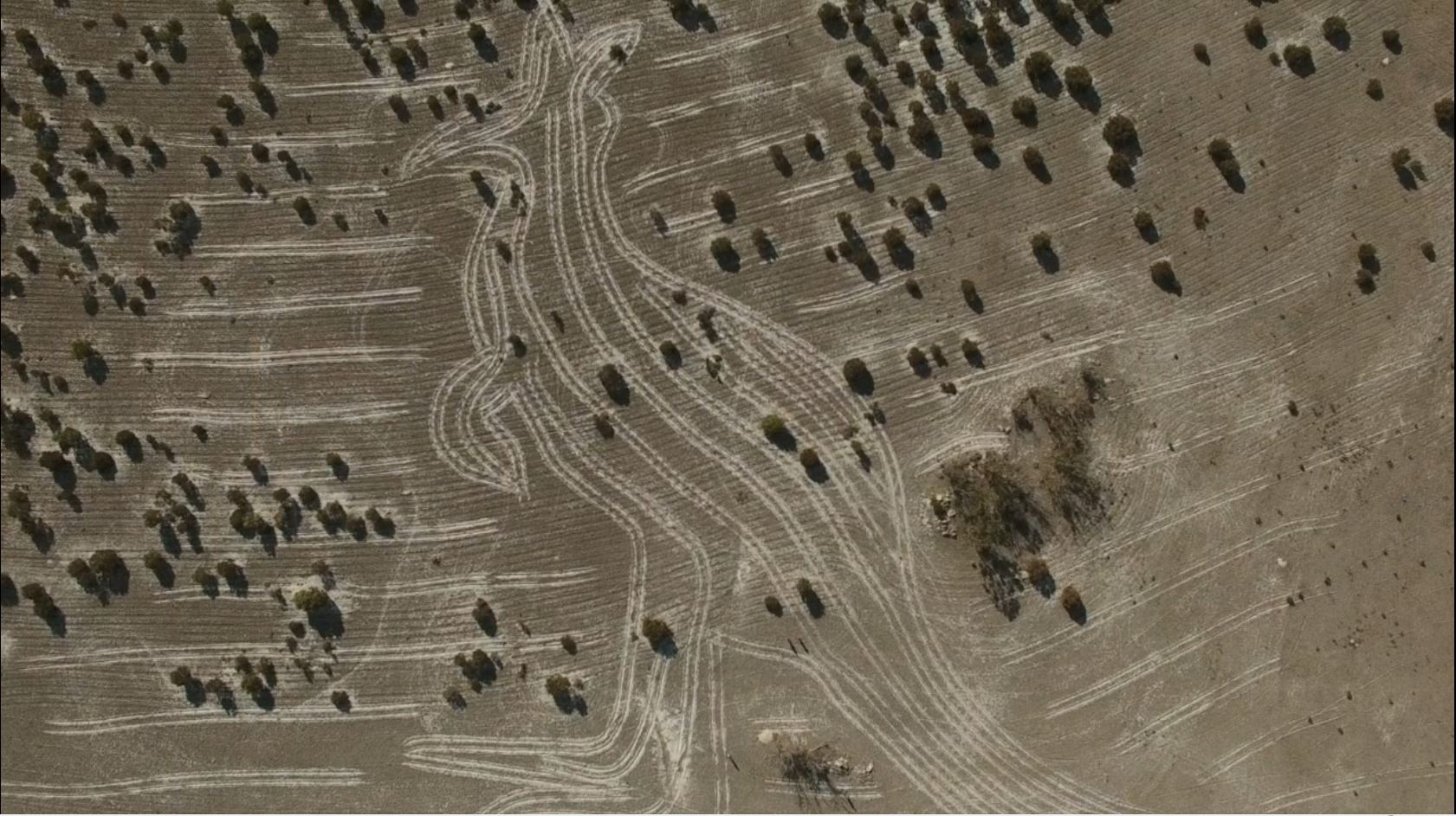 Aboriginal geoglyphs years in the making sprout across Western ...
