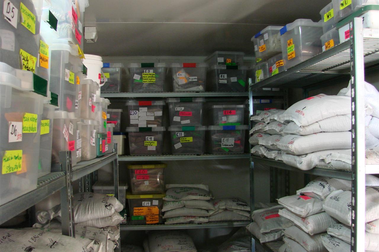 National seed bank to be set up in western Victoria - ABC News