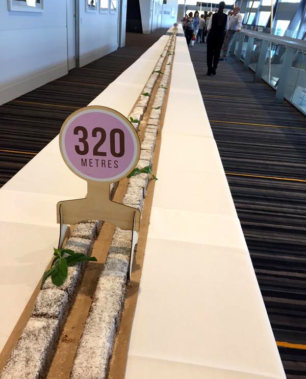More than 20,000 lamingtons create 1km world's longest line of cakes in ...