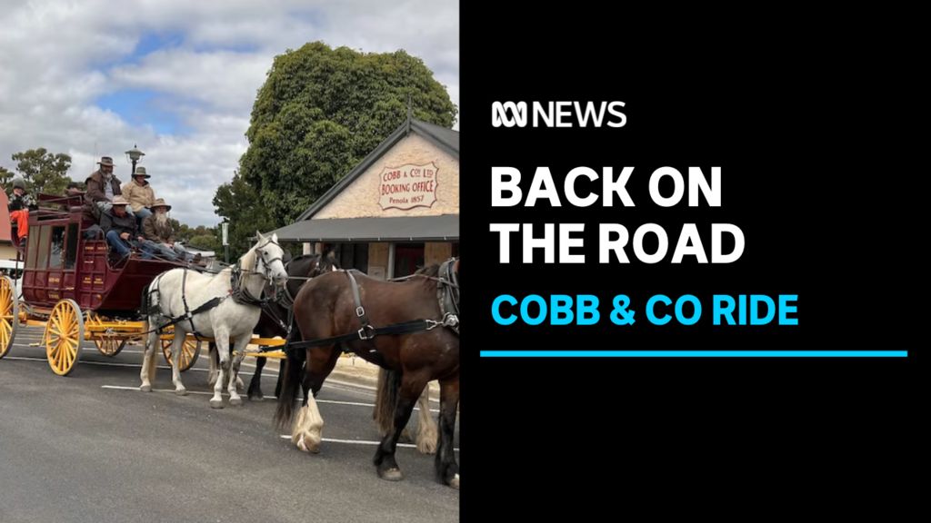 News From Queensland : ABC iview