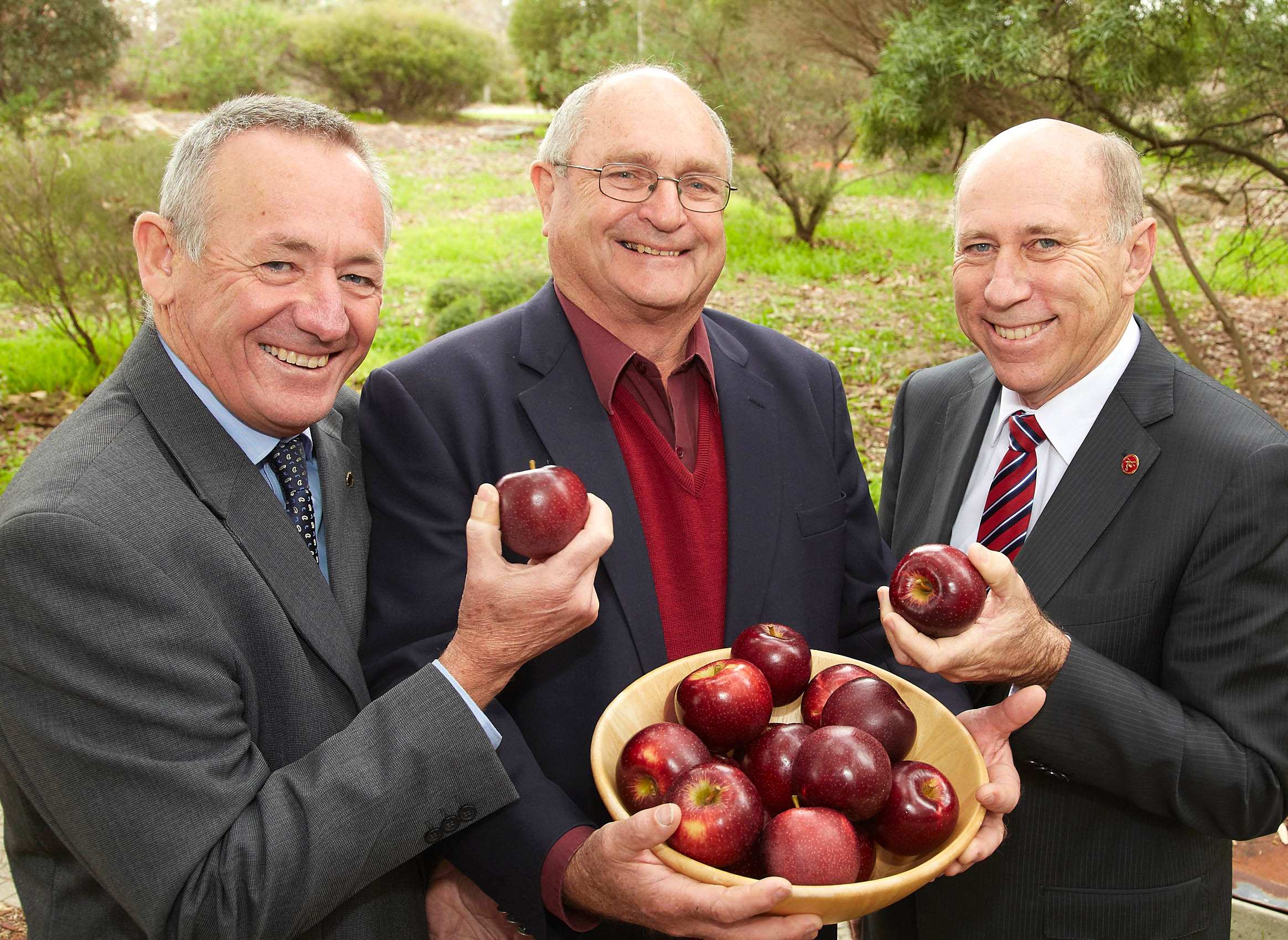 New fruit dubbed the 'black apple' developed in WA hoped to rival other ...