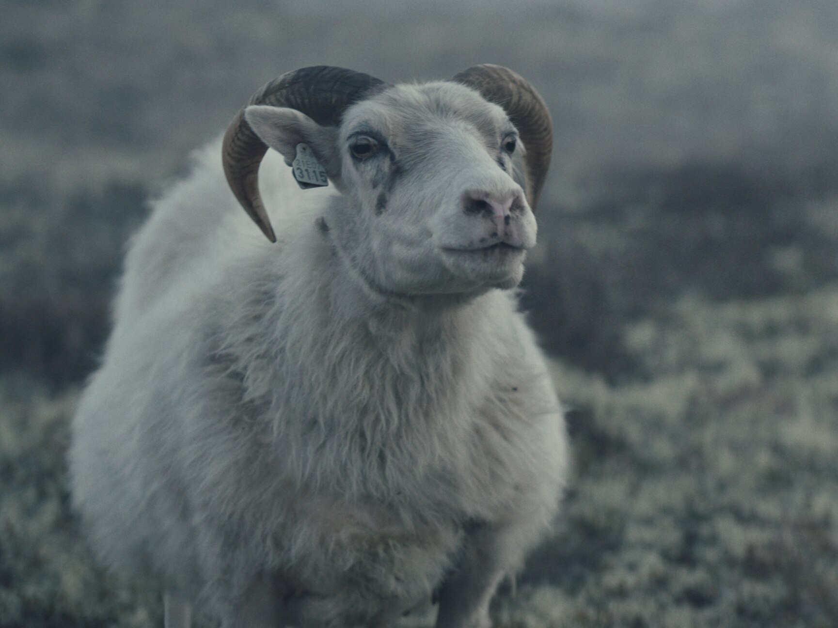Icelandic folk horror Lamb stars Noomi Rapace as a grieving mother who ...