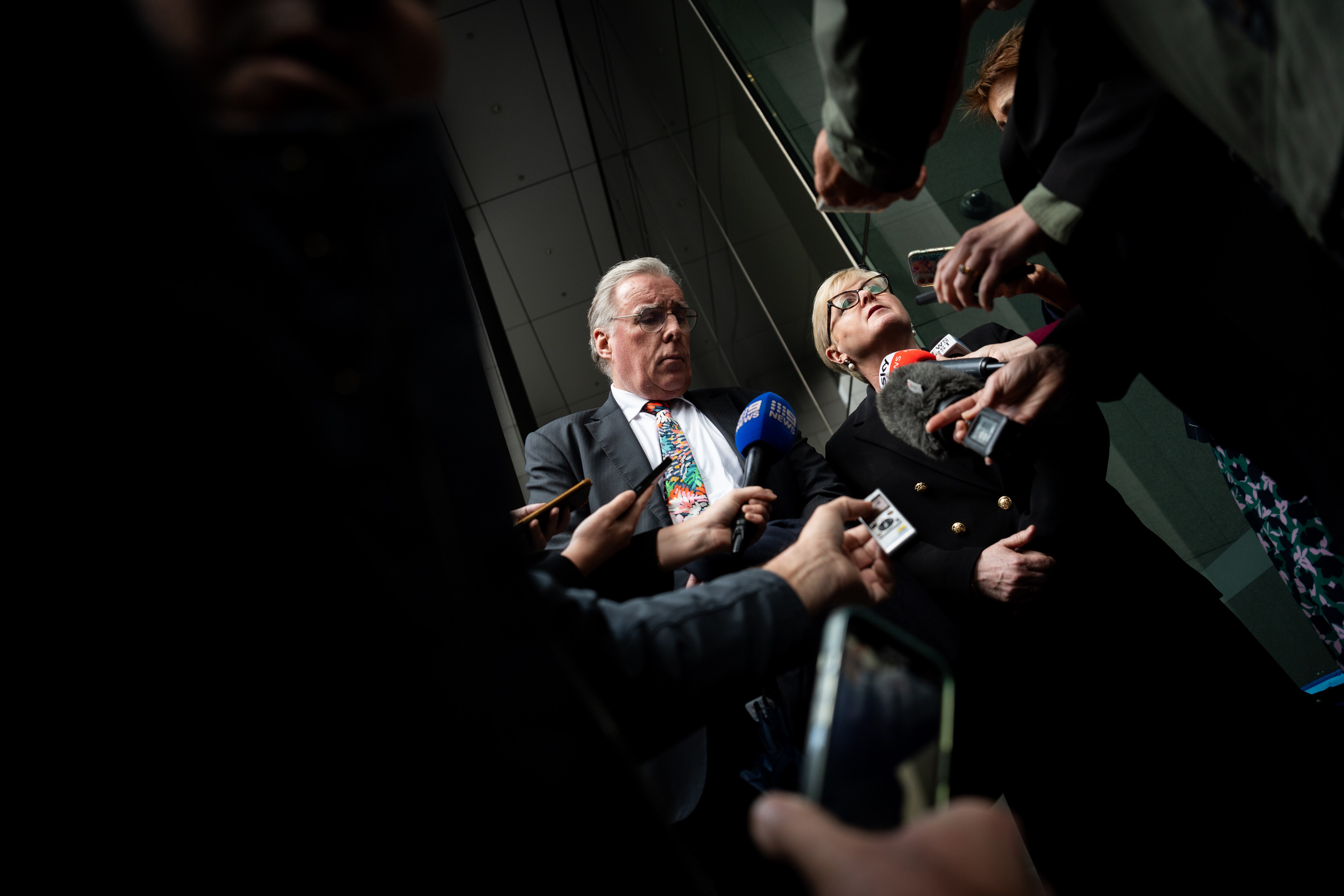 Linda Reynolds seeks more than $500k damages in final day of Brittany ...