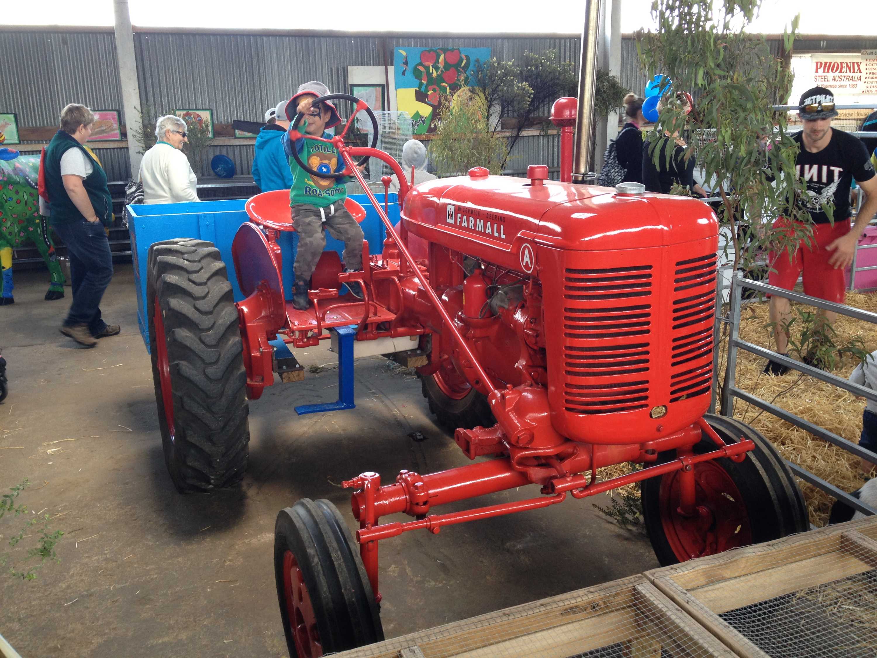 Devonport Show 'in jeopardy', organisers hope free attractions will ...