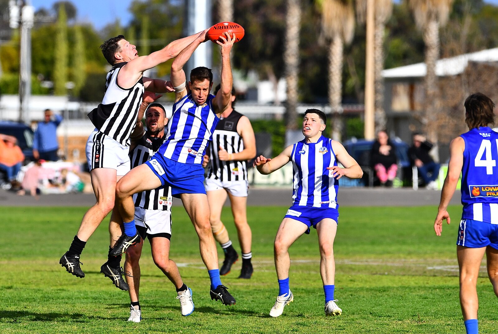Renmark Football Club fined $5,000 over semi-final player's eligibility ...