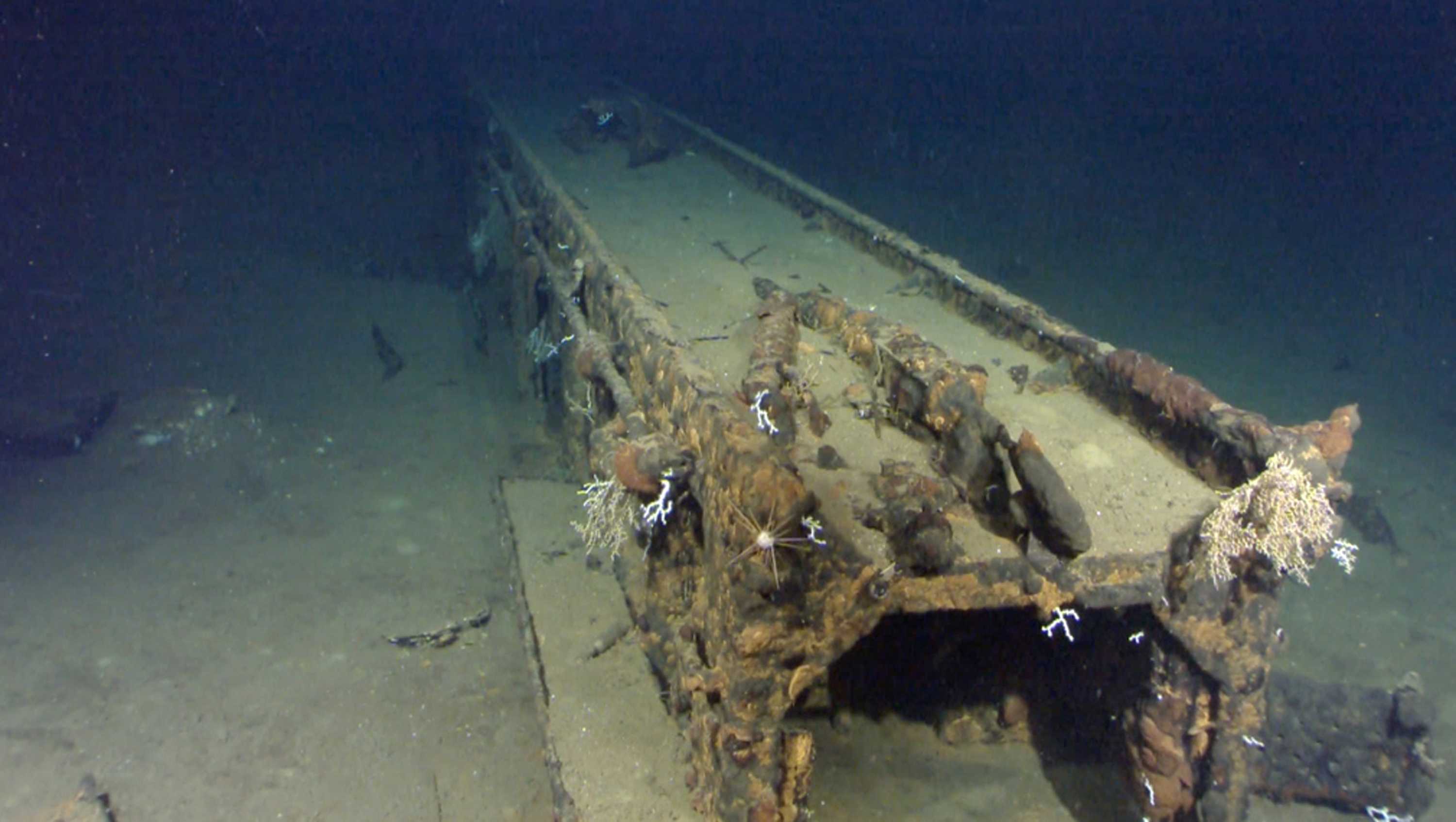 Musashi shipwreck: US billionaire Paul Allen says WWII Japanese ship ...