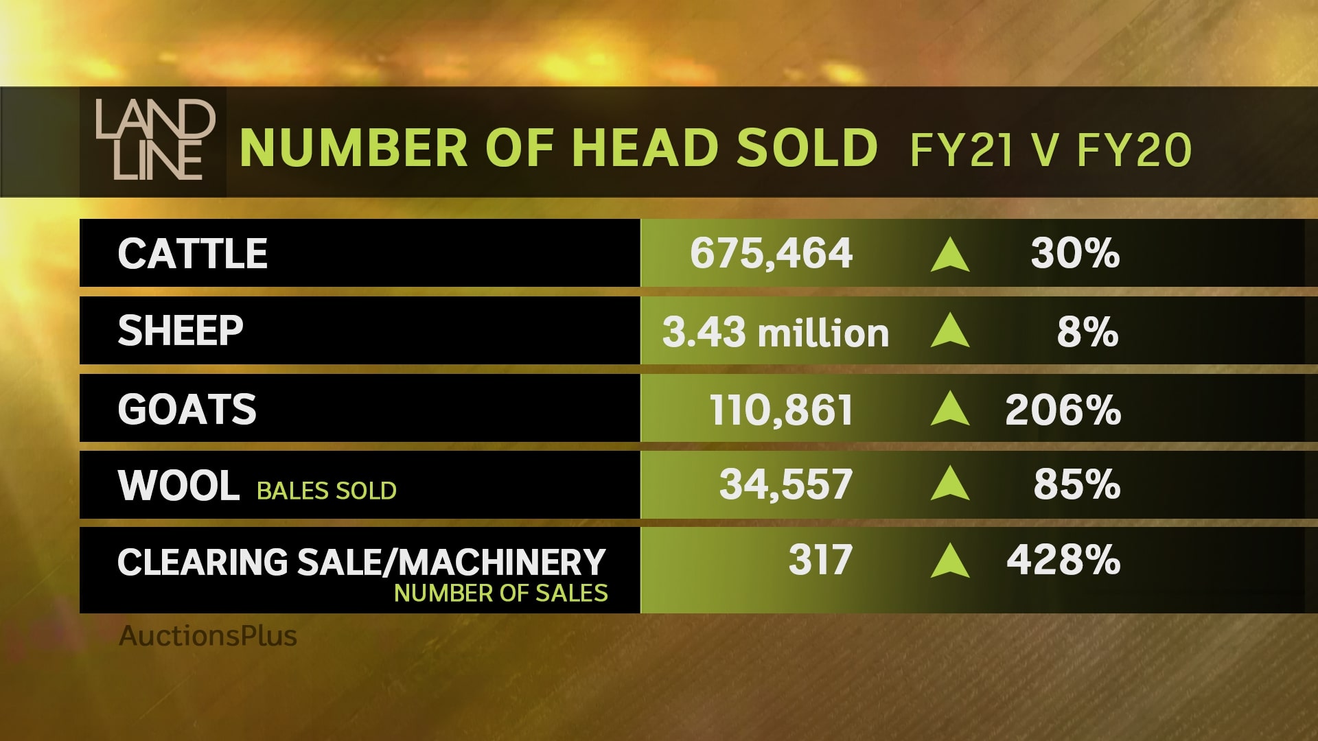 Farmers flock online as AuctionsPlus hits record $2.35b selling cattle ...