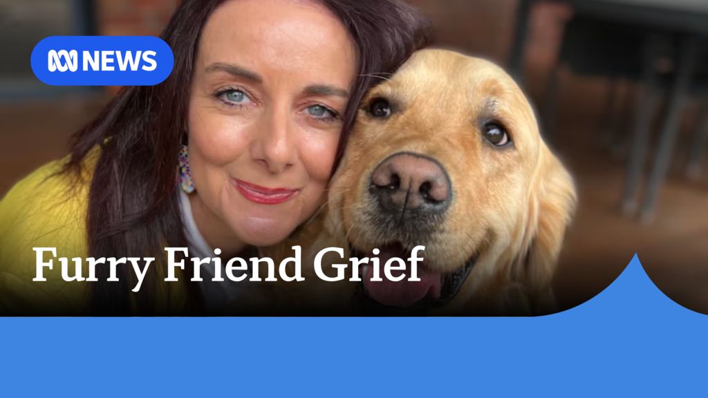 How do you make the heartbreaking decision to say goodbye to a pet ...