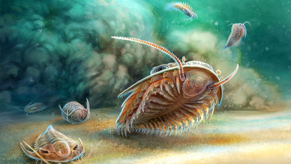 3D recreation of 509-million-year old trilobite fossils - ABC News
