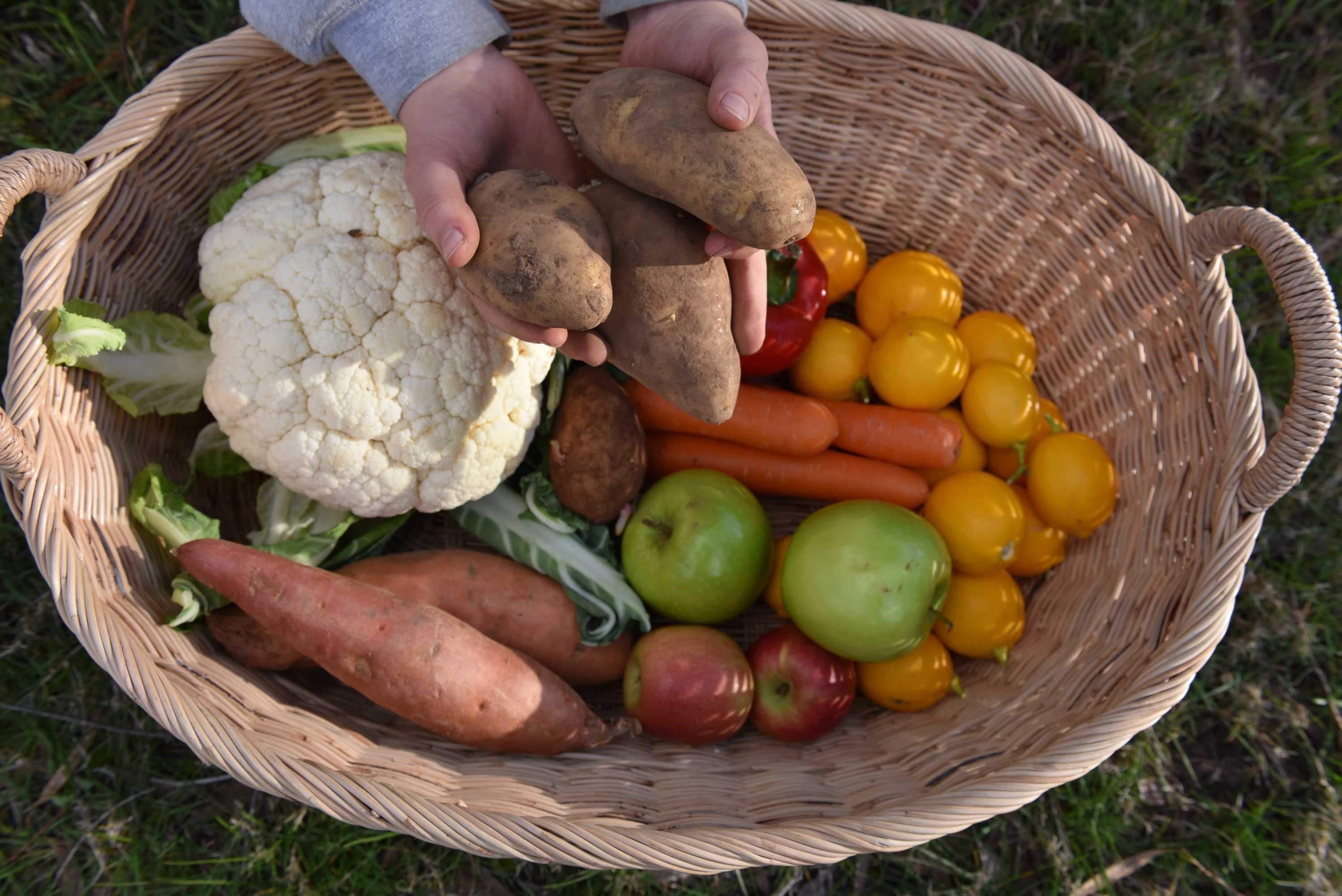Lancefield and Romsey project aims to brings people and food together ...