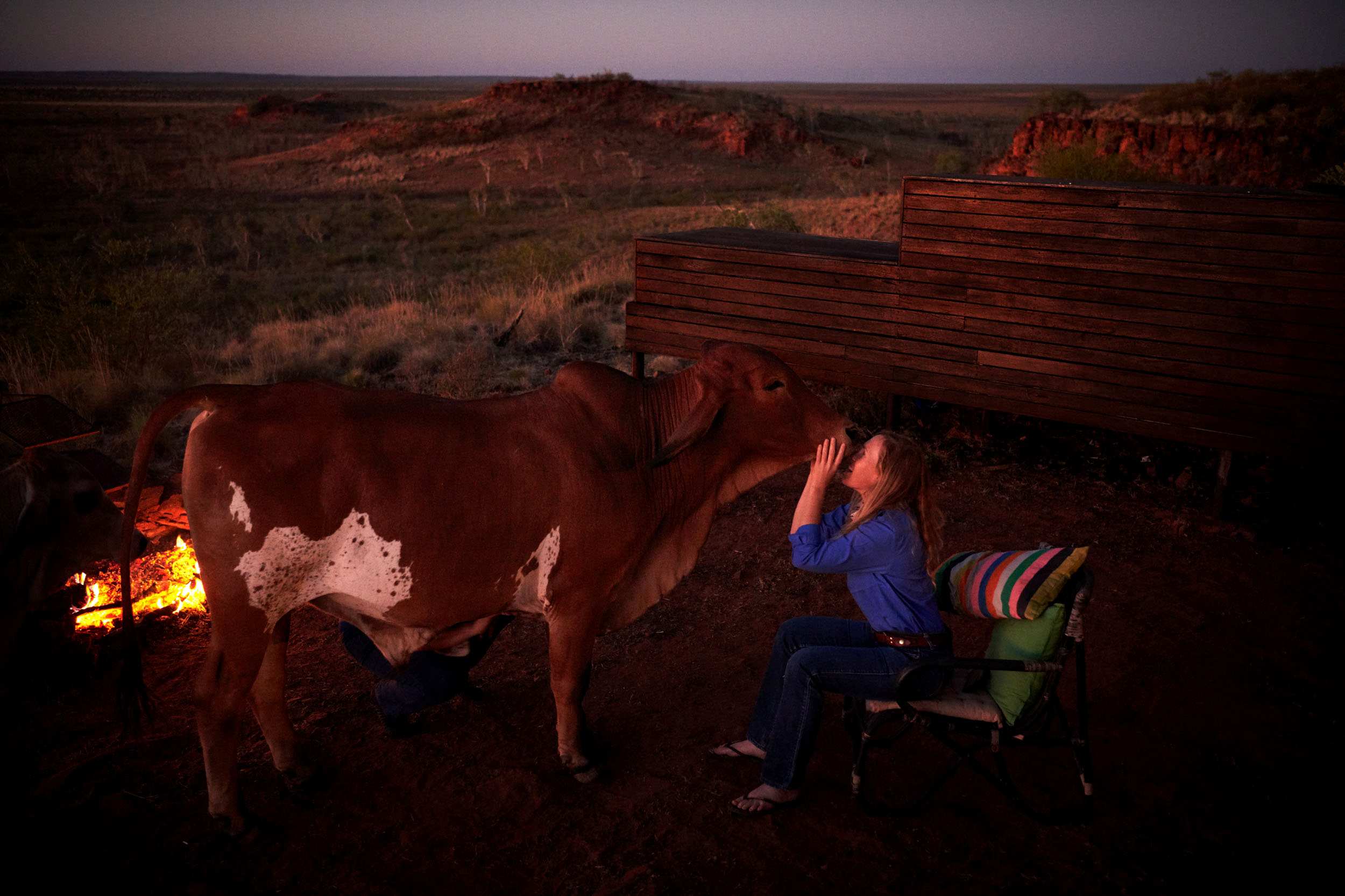 Not a farmer's wife - ABC News