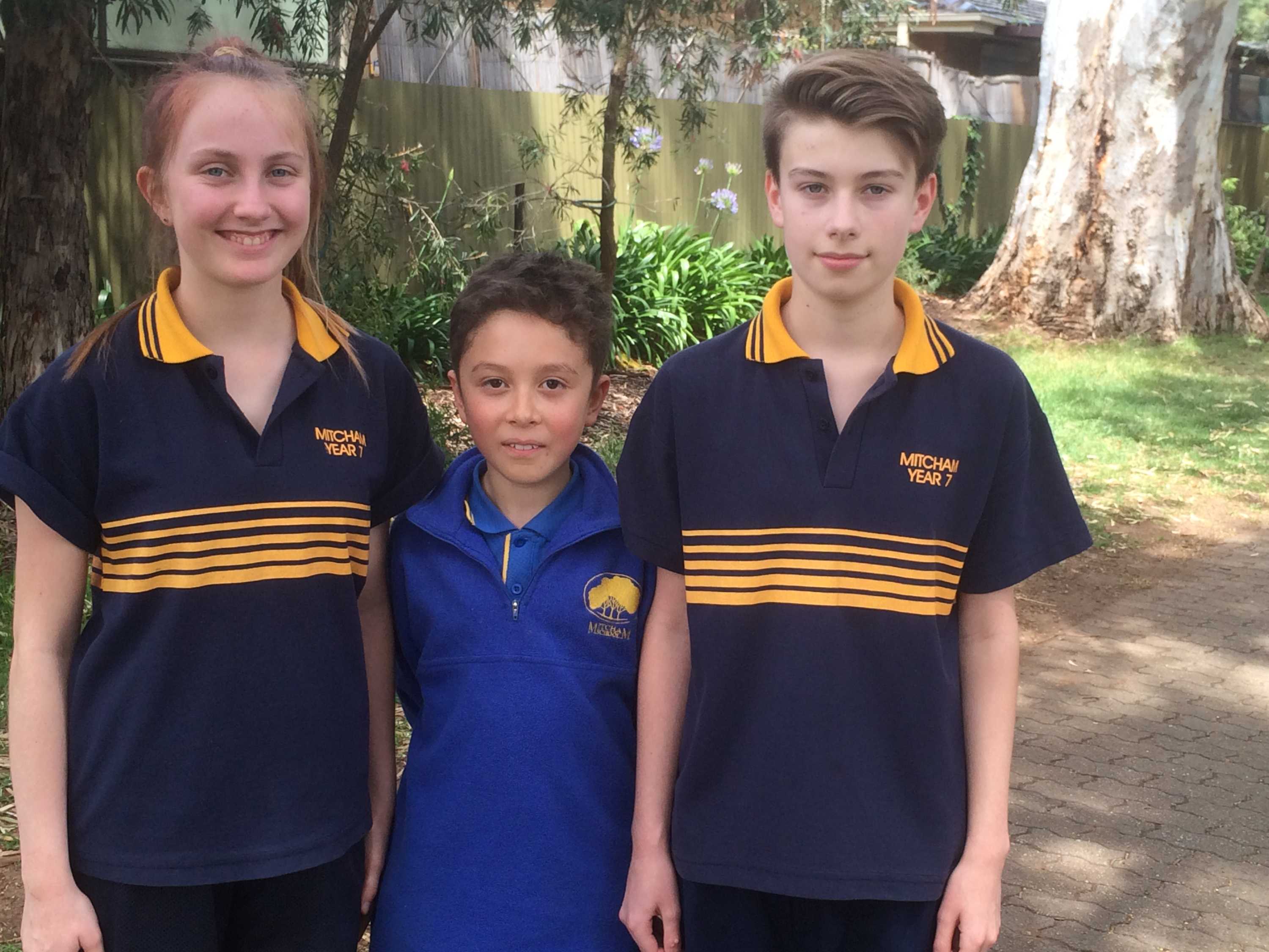 Remembrance Day: Mitcham Primary students keep memories of their school ...