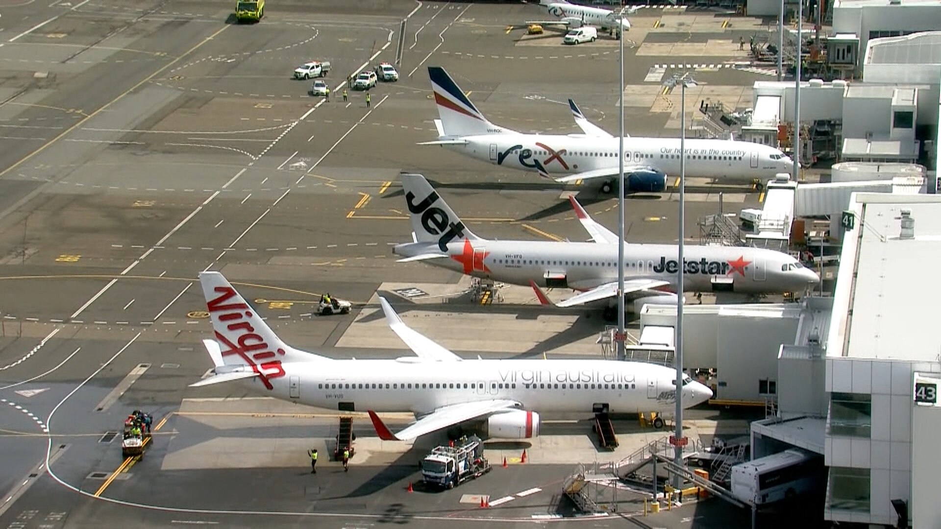 Rex Airlines insiders on why their bid to take on Qantas and Virgin ...