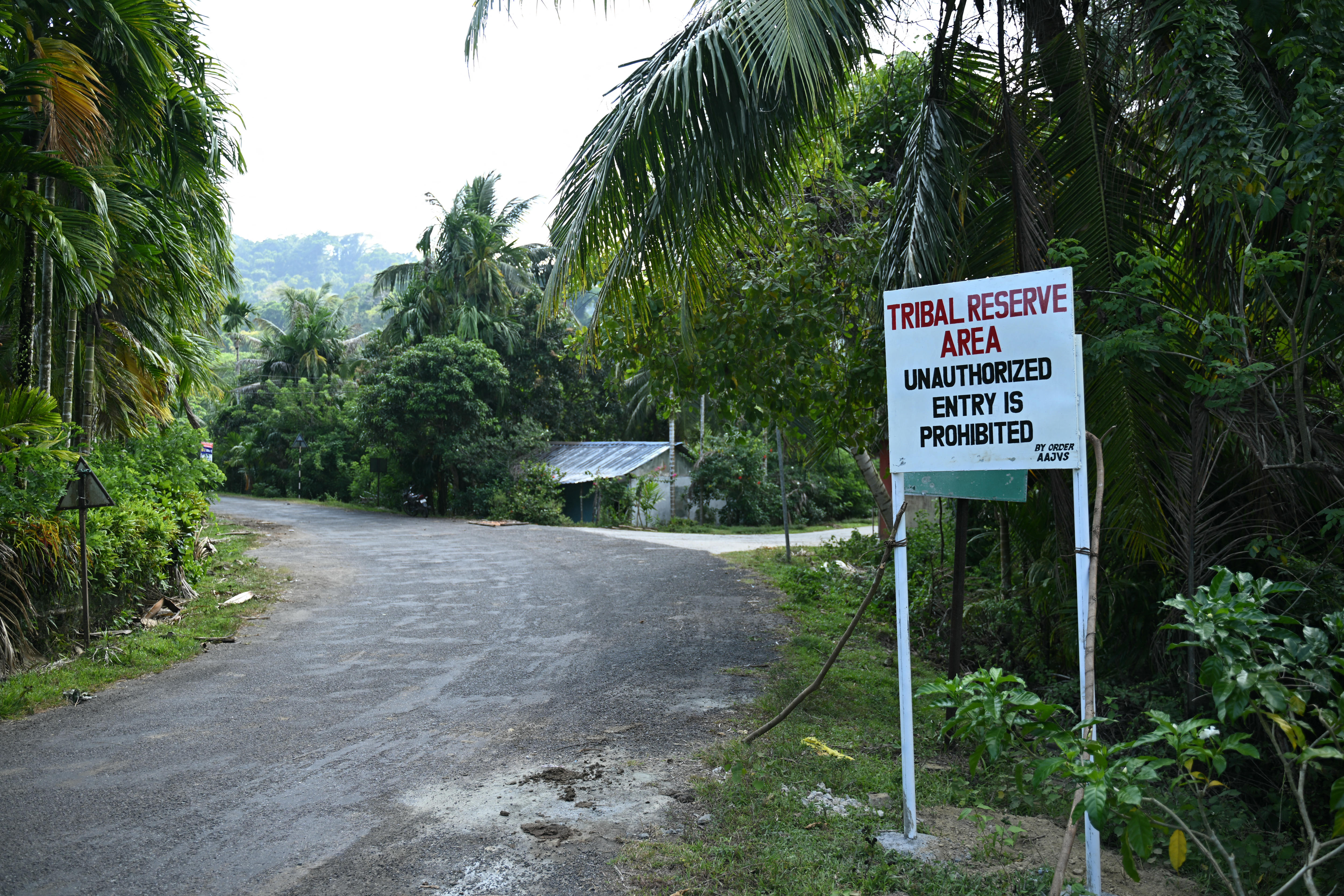 India's Great Nicobar Island Project goes ahead despite concerns about ...