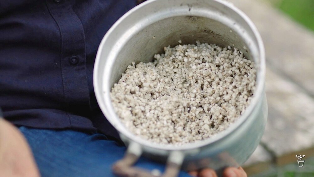 FAQs: Protecting seeds | Hedging plants | Perlite - Gardening Australia