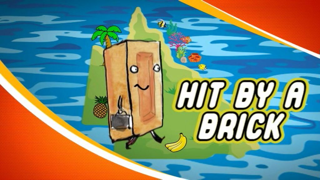 Hit by a brick - ABC News