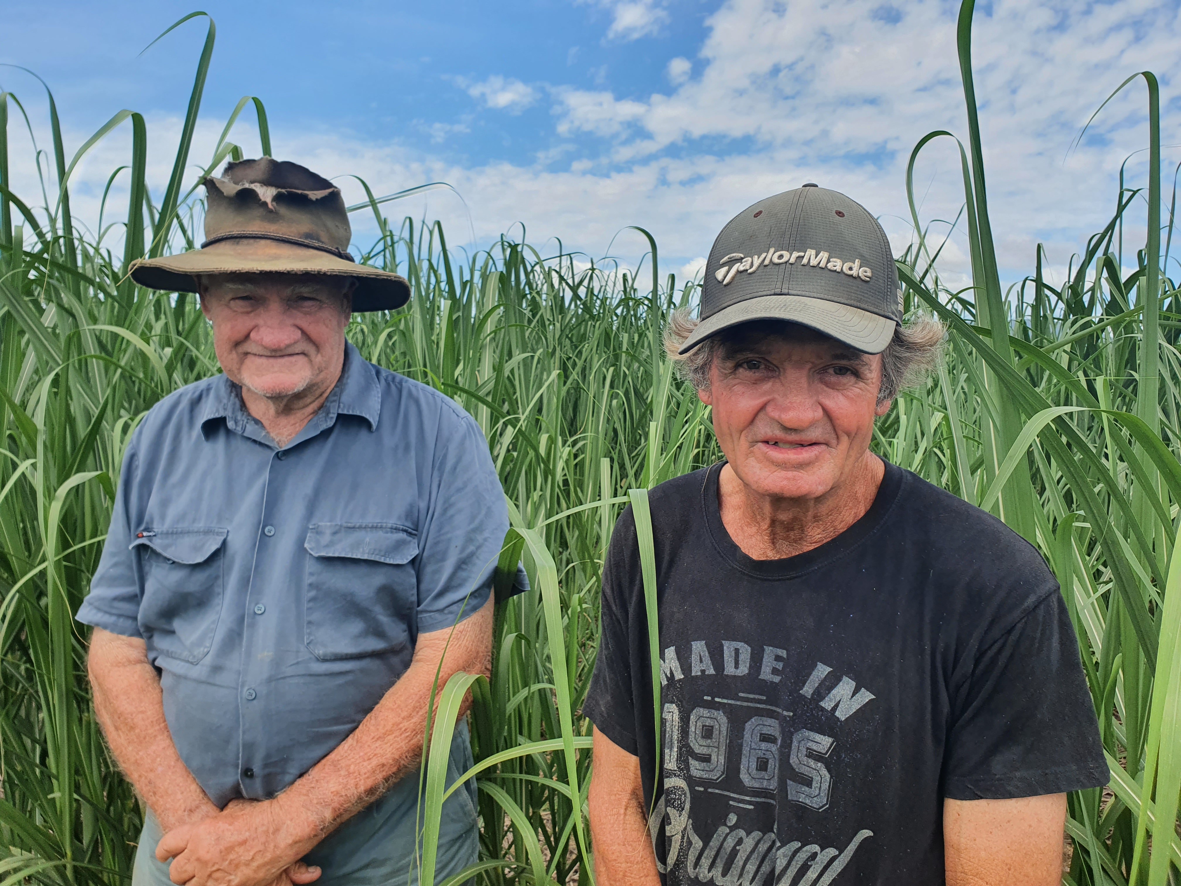 Jimmy Barnes's Working Class Man film clip brought to life by cane ...