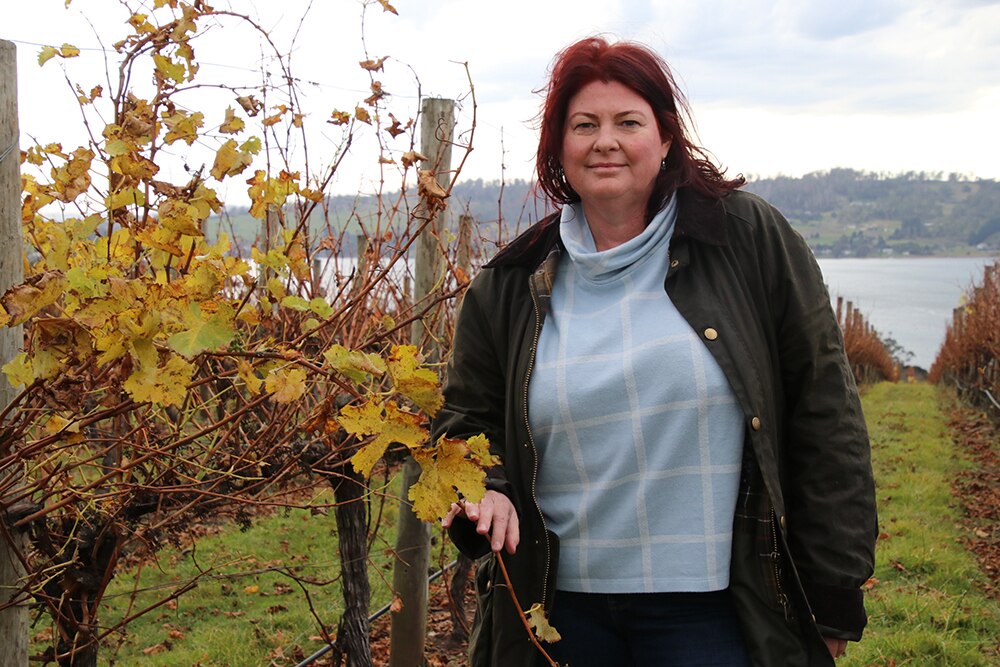 Winemakers and science combine forces in Tasmanian project to find key ...