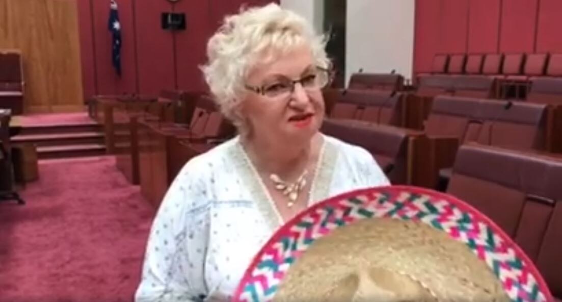 Tasmanian senators chided for 'puerile' behaviour after trading blows ...