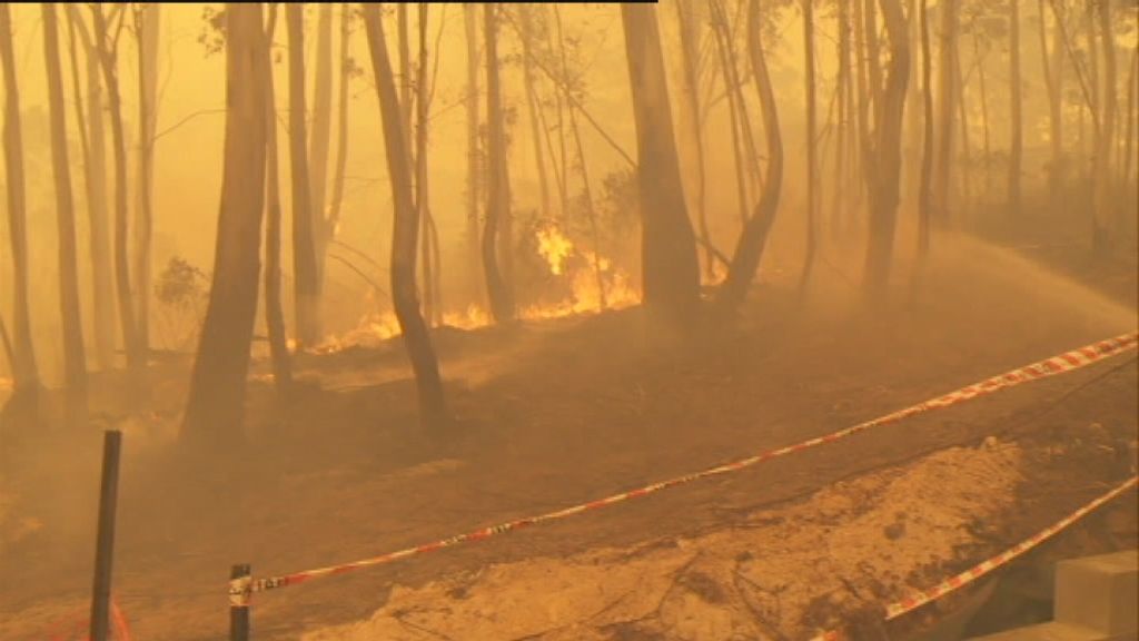 NSW bushfire disaster shatters Blue Mountain communities - ABC News