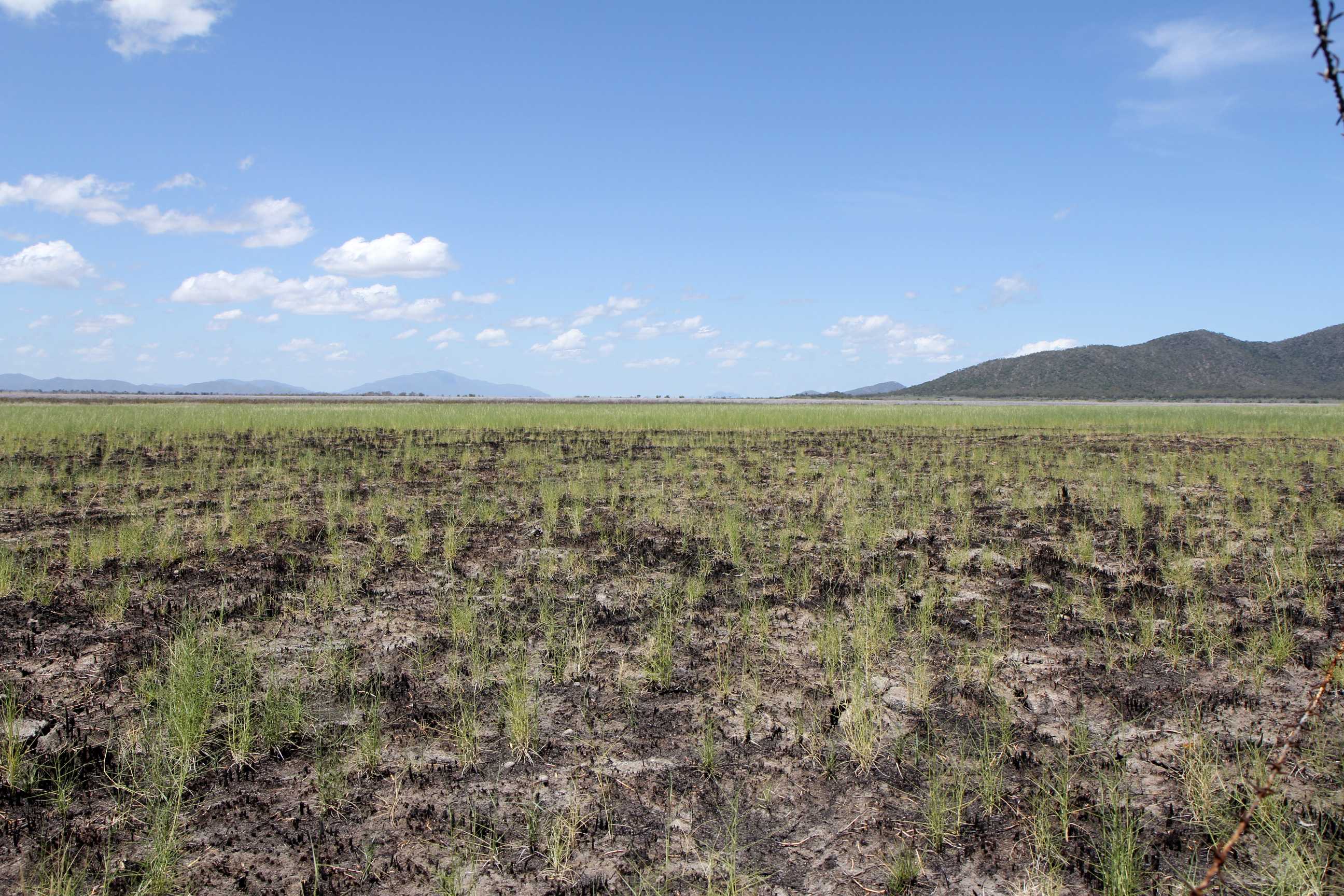 A firsthand look at the Abbot Point port - ABC listen