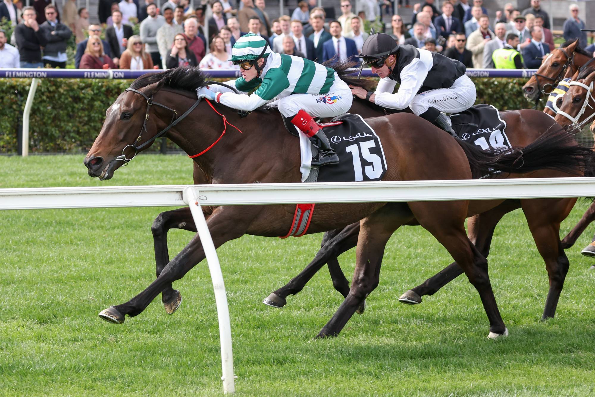 Melbourne Cup 2023 field, horses, form guide and finishing order - ABC News