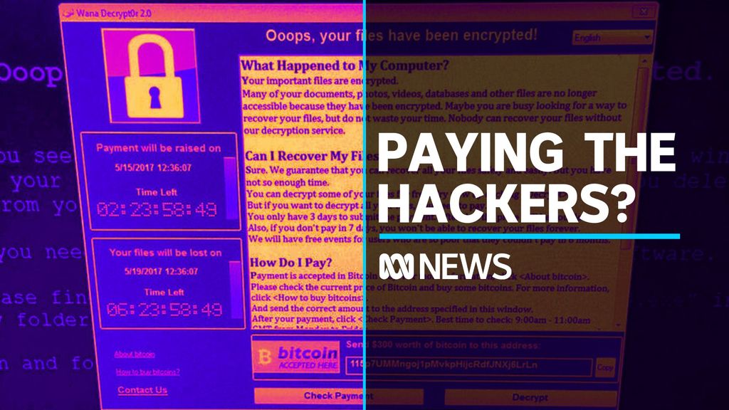 Computer Science - Topic - ABC News