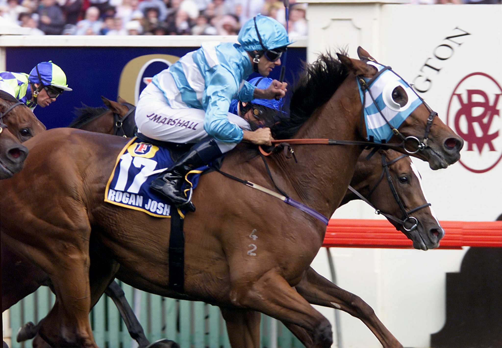 Melbourne Cup: Keep it in perspective — the internationals aren't ...