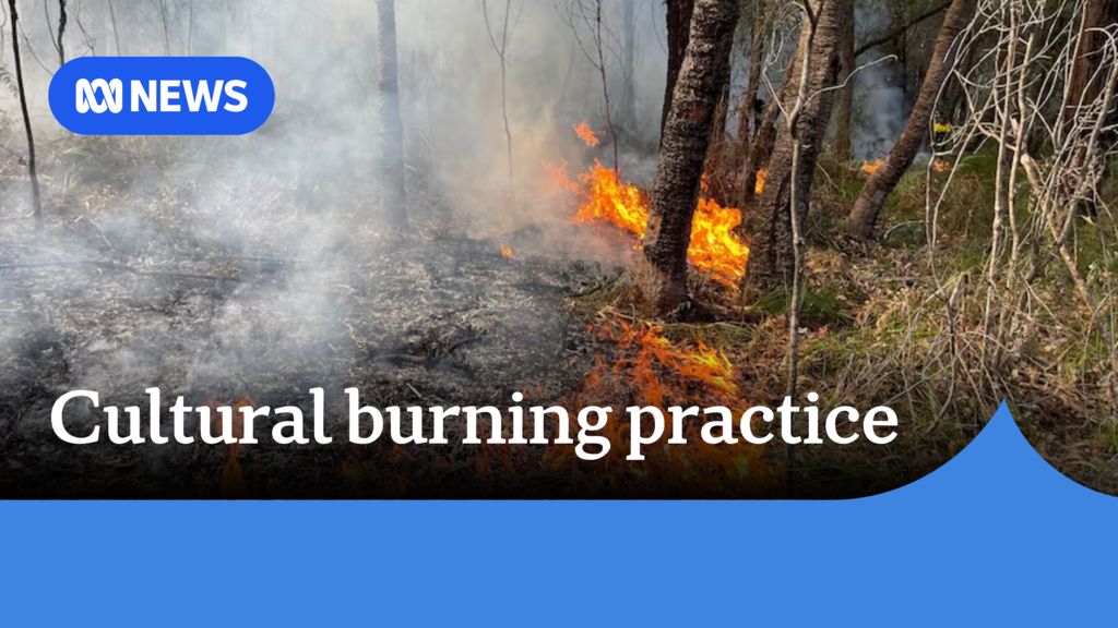 Tasmanian workshop helps promote Indigenous cultural burning practice ...