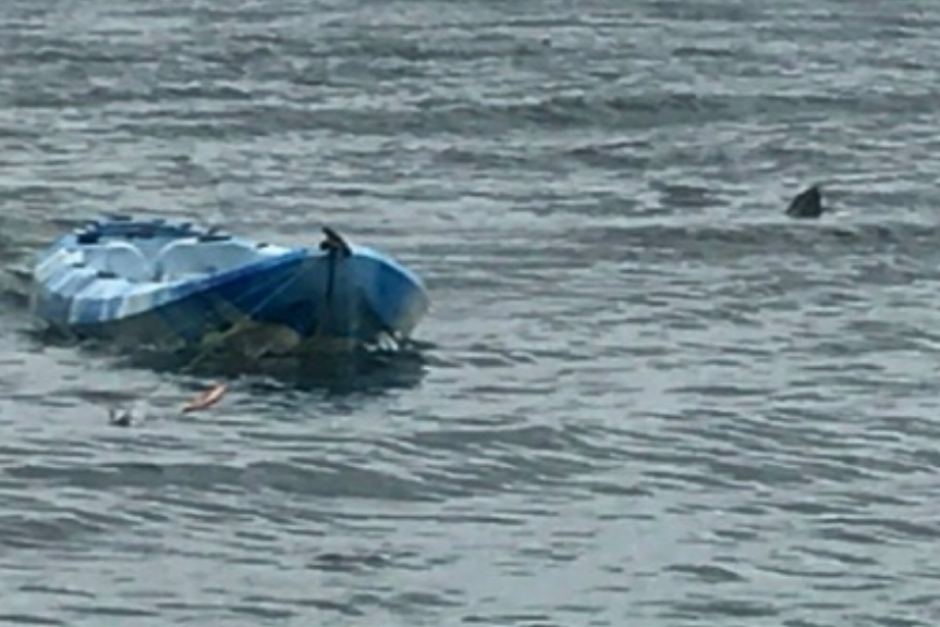 Teen's lucky shark escape - ABC listen