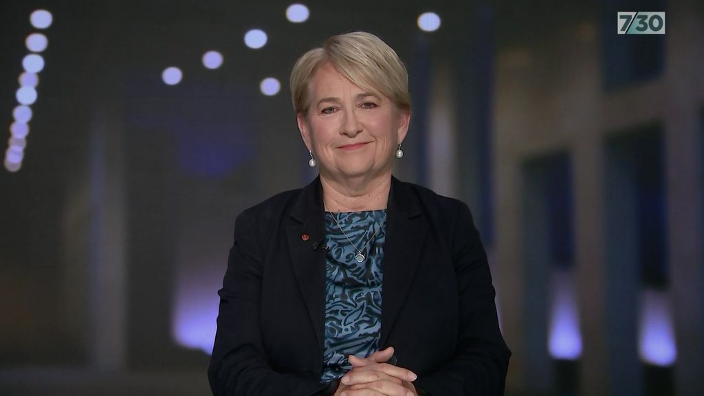 Greens Senator Barbara Pocock speaks to 7.30 on the PwC scandal - ABC News