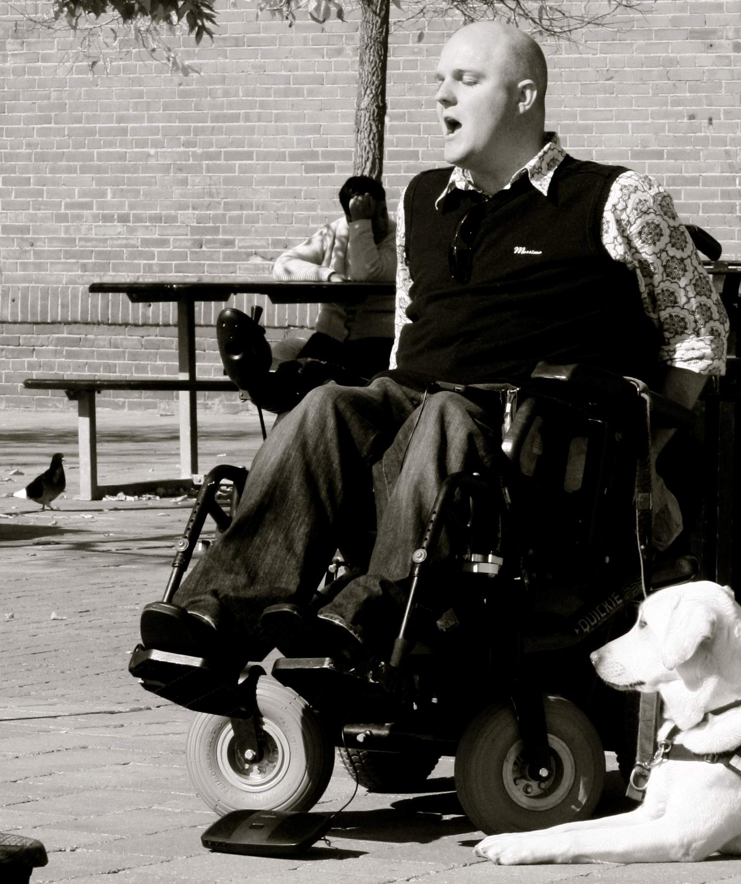 Brisbane opera busker Tim McCallum wows Australia with raw talent and ...