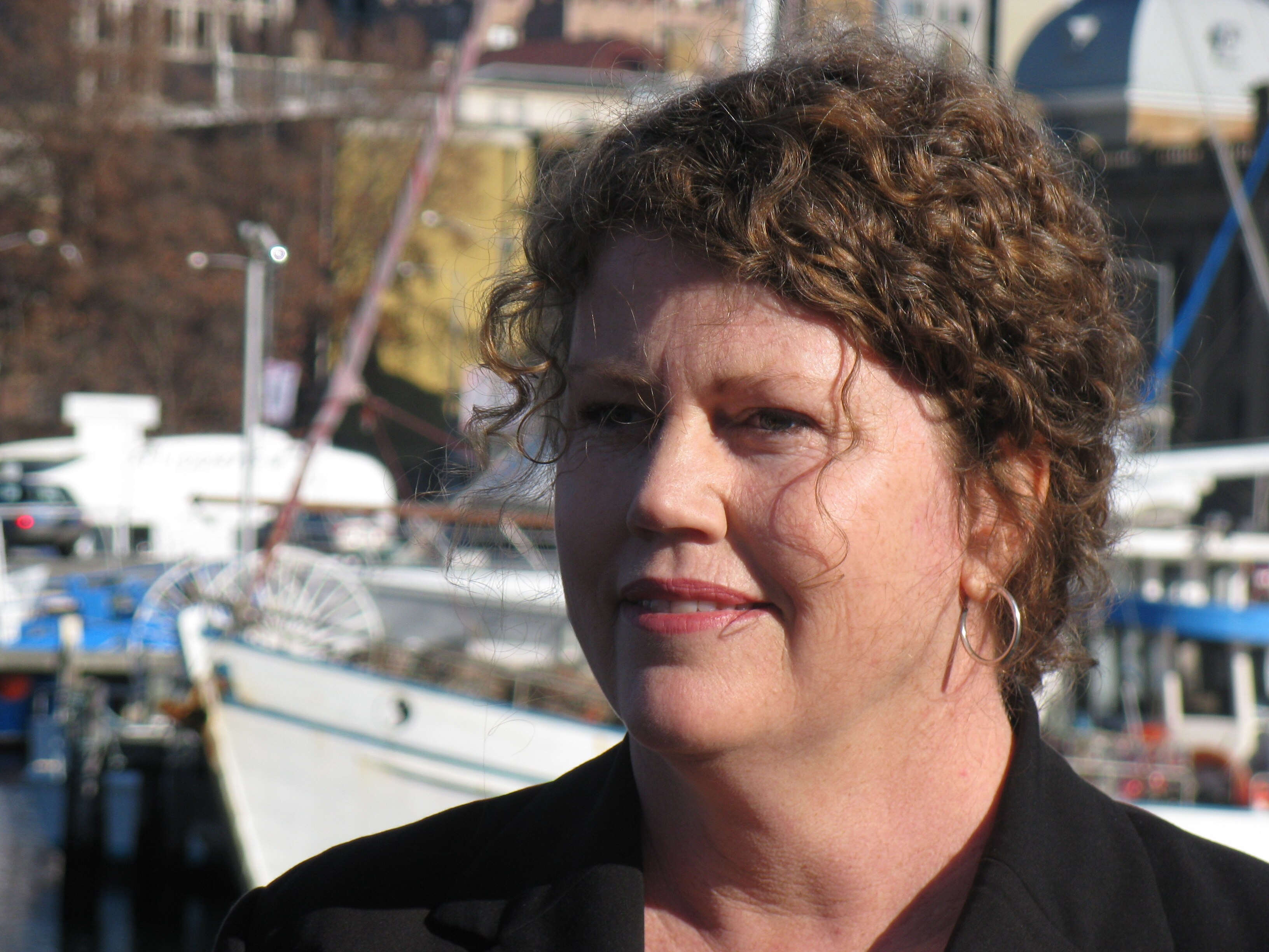 Greens reveal federal Denison candidate - ABC News