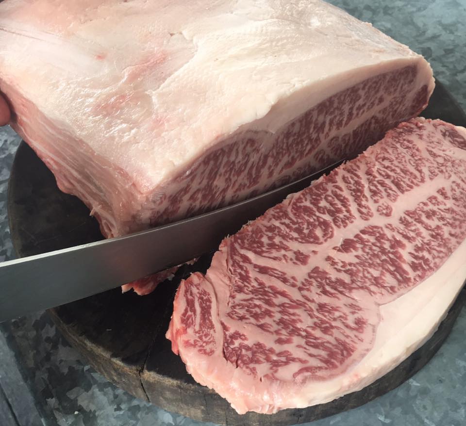 AACo abattoir and beef business under review as profits slide - ABC News