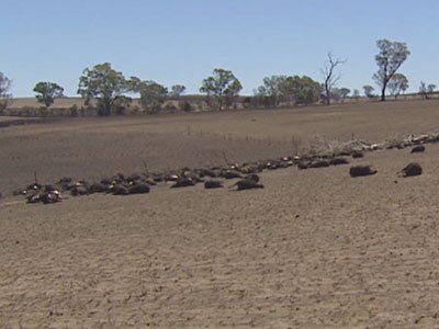 Former Junee Mayor reflects on 10 year anniversary of New Year's Day ...