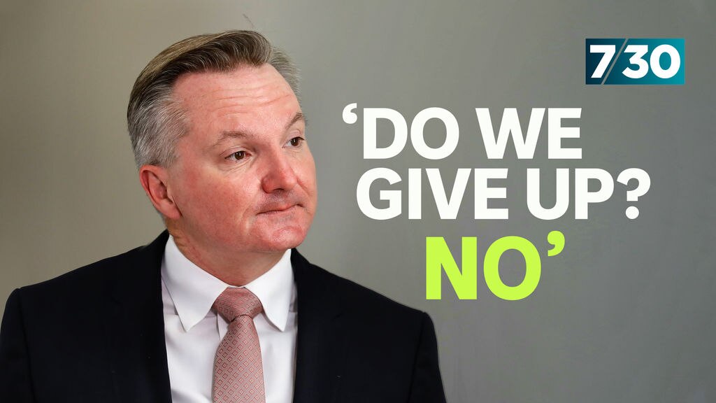 What can we expect from COP29? - ABC News