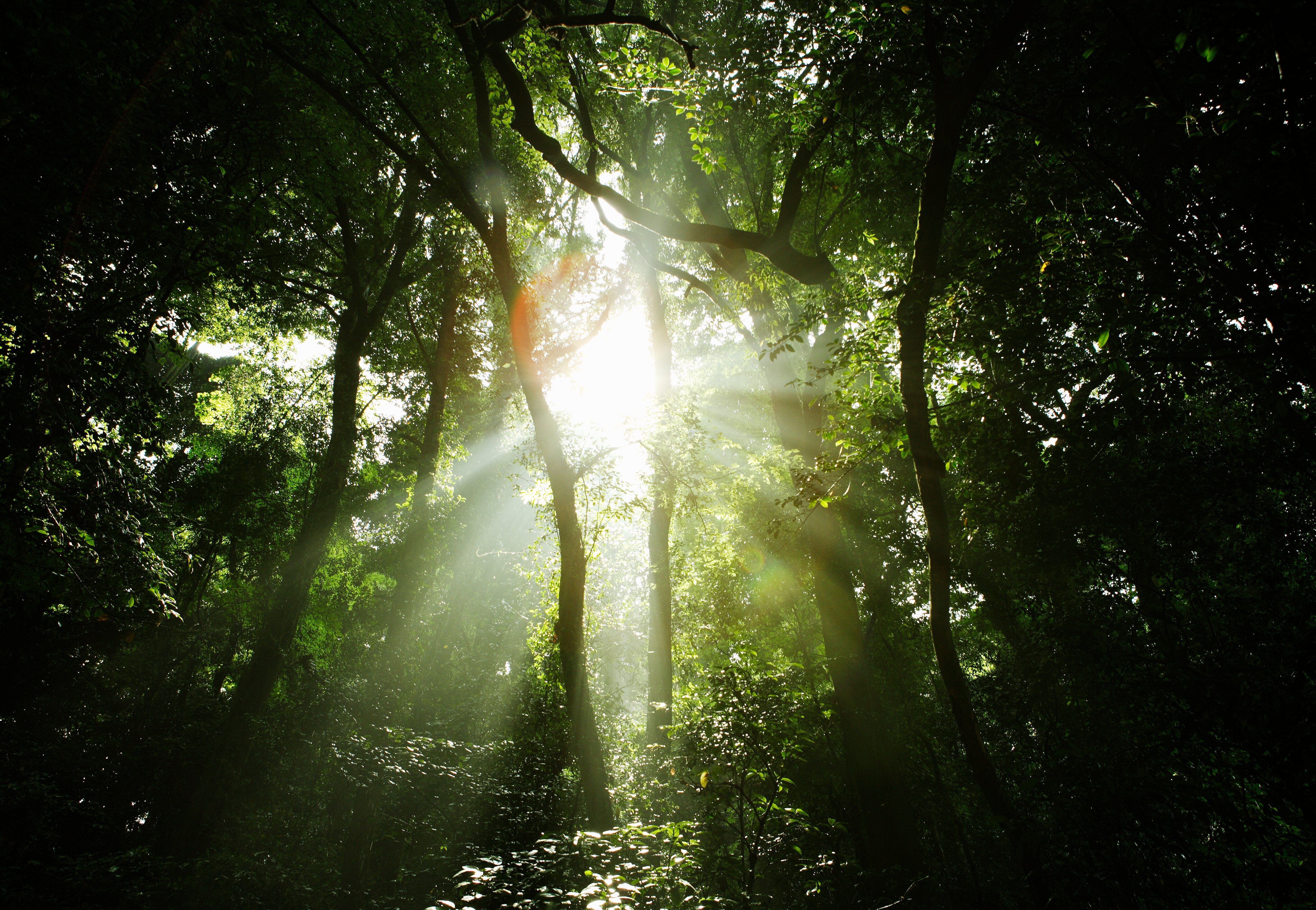 The Philosopher's Zone with David Rutledge - ABC listen