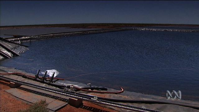 Landline: Algae farming: a pilot project in the Pilbara - ABC Education