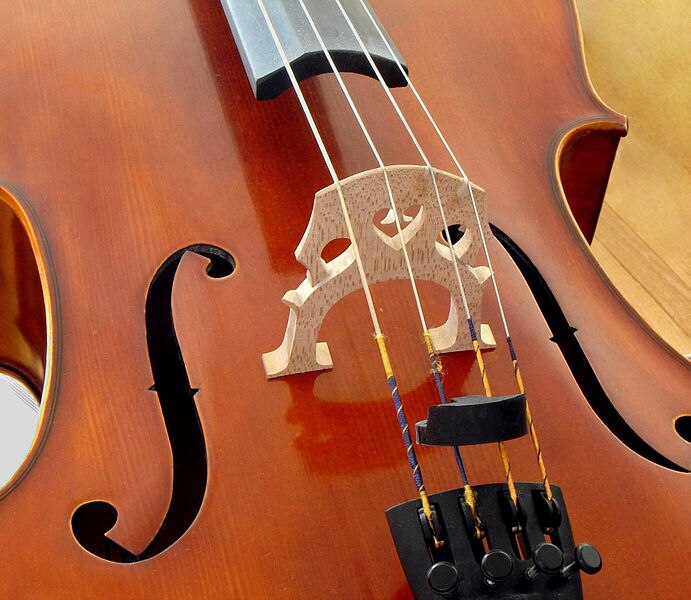 Melbourne musical festival seeking 100 cellists for 'CelloXtravaganza ...