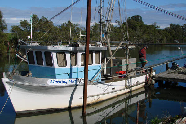 AFMA defends response to decline of fish stocks during Senate Committee ...