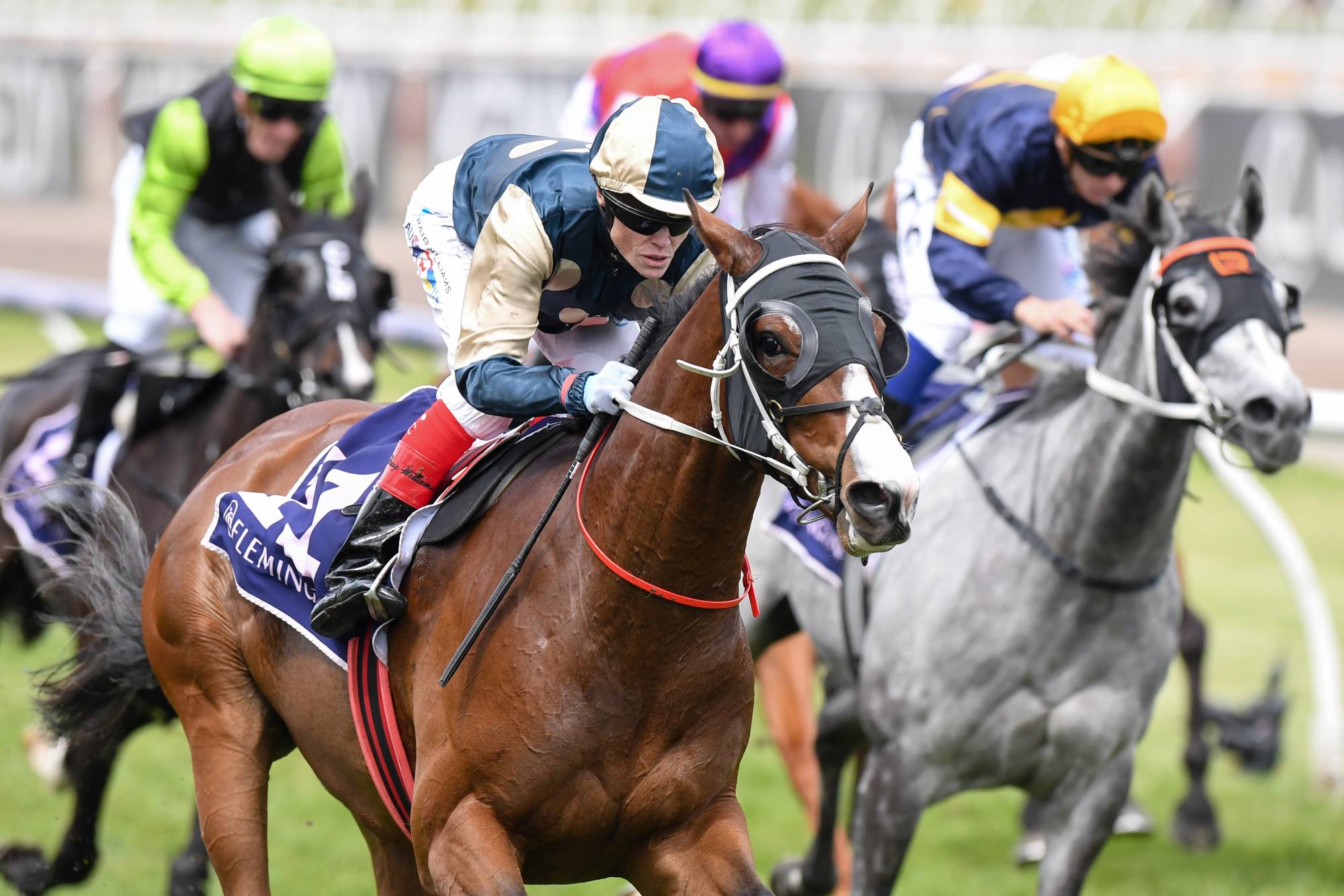 Melbourne Cup 2023 field, horses, form guide and finishing order - ABC News