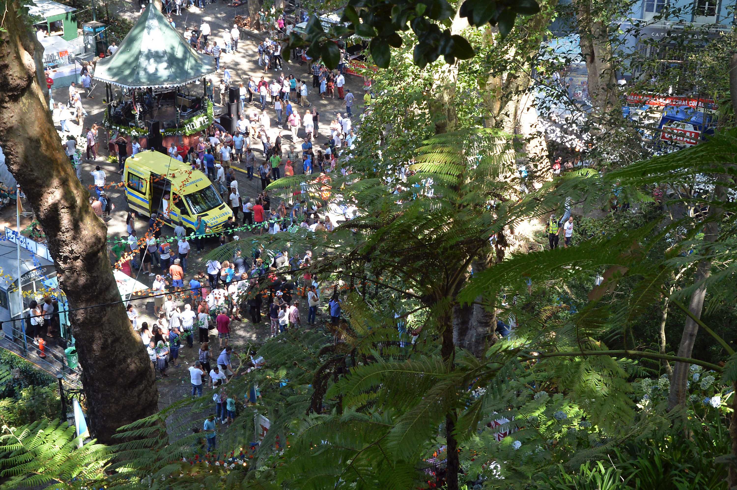 Falling tree kills 13, injures dozens more at Catholic festival on ...
