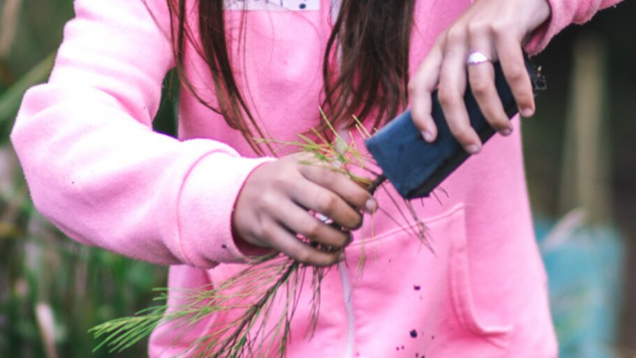 Friday Poem: 12-year-old Milla Walker reads 'Nature's Inner Core' - ABC ...