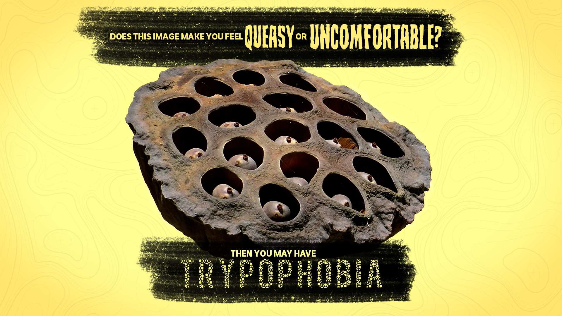 Freaked out when you see clusters of bumps and holes? You could have ...