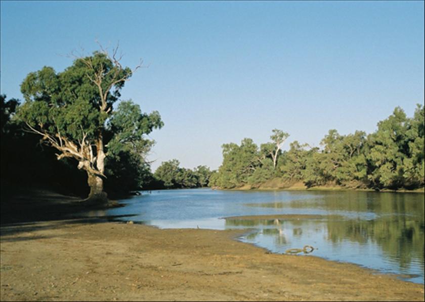 Wild Rivers declaration for Cooper Creek raises concerns - ABC News